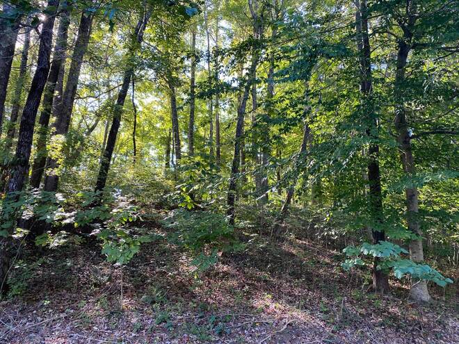 0 Crescent Ridge, Albany, KY 42602 (Off Market NYStateMLS Listing ...