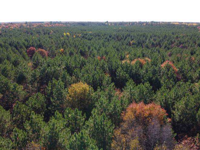001 Black Brook Road, Webster, WI 54893 (Sold NYStateMLS Listing #10948311)