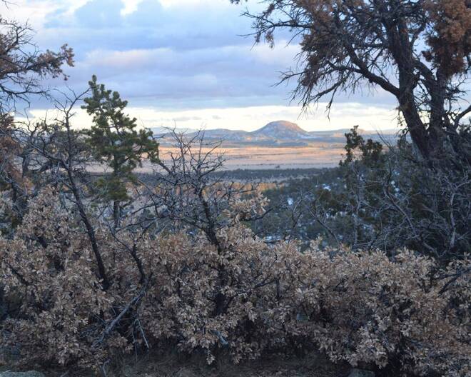 Maverick Ranch Lot 23, Techado, NM 87829 (Off Market NYStateMLS Listing ...