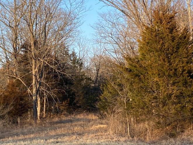 Maries County Vienna Missouri (MO) — Real Estate Listings By City
