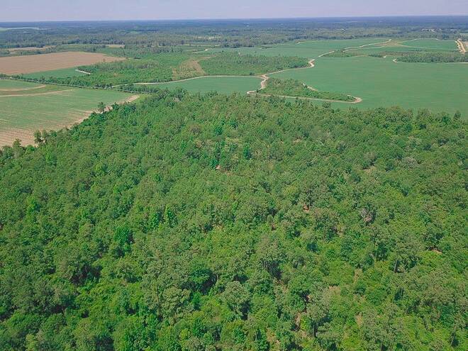 245 Ausby Rd, Oakfield, GA 31772 (Off Market NYStateMLS Listing #11091441)